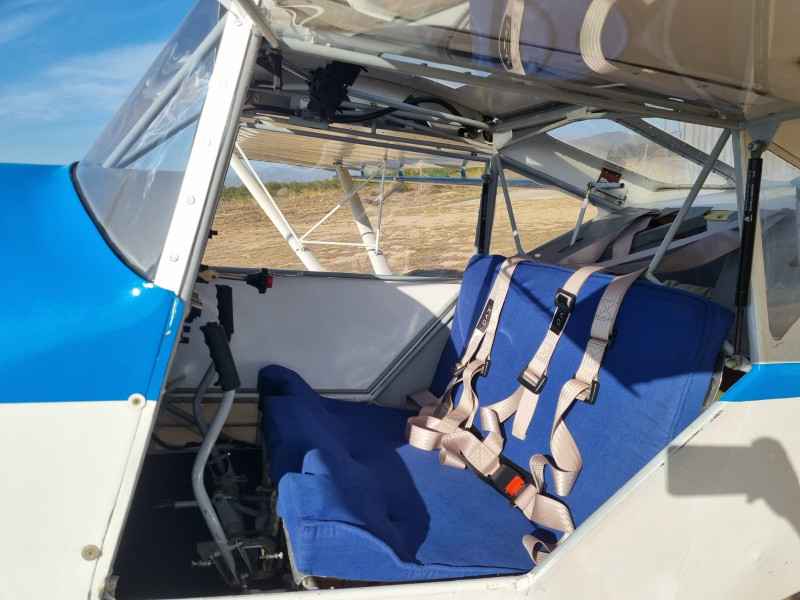 2002 KFA Bushbaby For Sale