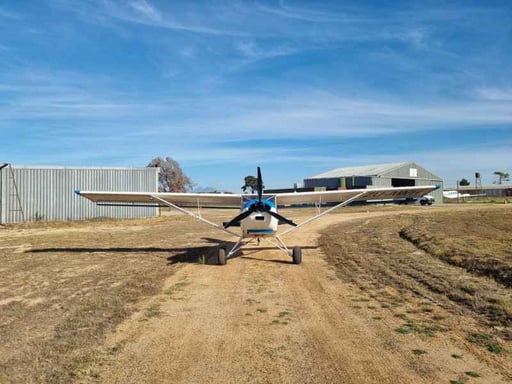 2002 KFA Bushbaby For Sale