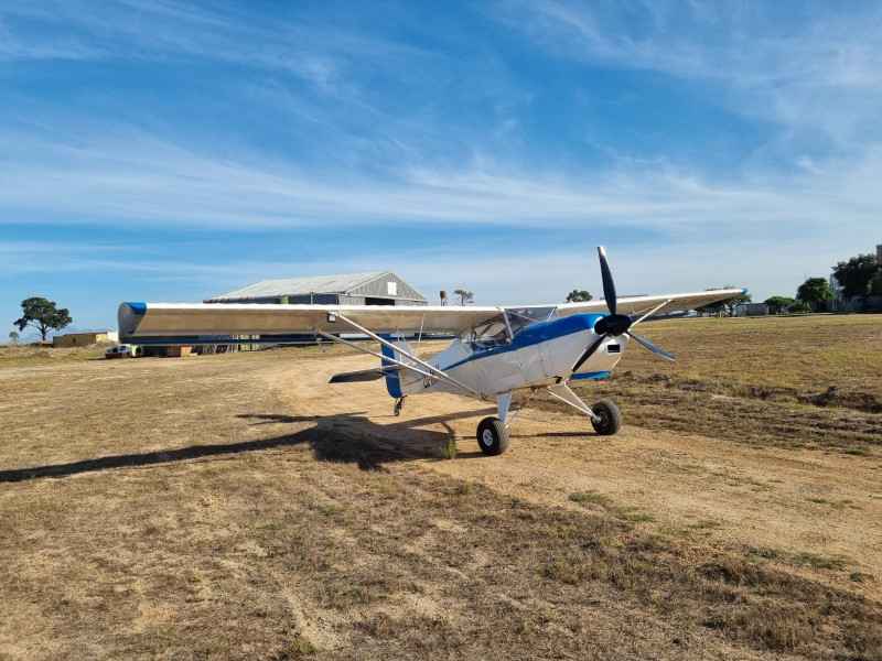 2002 KFA Bushbaby For Sale